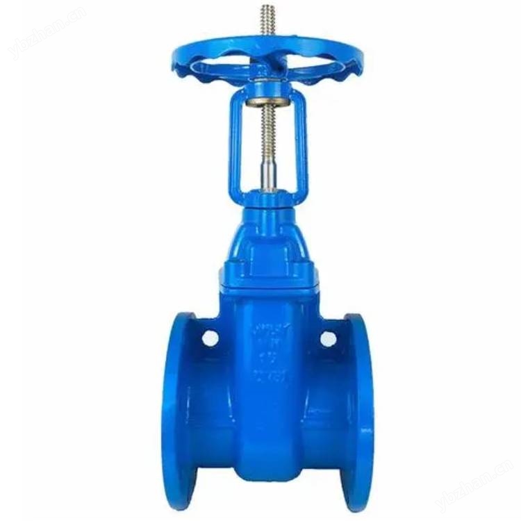 上海华电Z41X-16Q明杆弹性座封软密封法兰闸阀球墨铸铁-仪表网